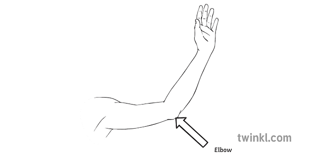 elbow labeled black and white Illustration - Twinkl