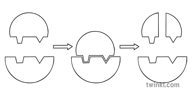 Enzymes Black and White Illustration - Twinkl