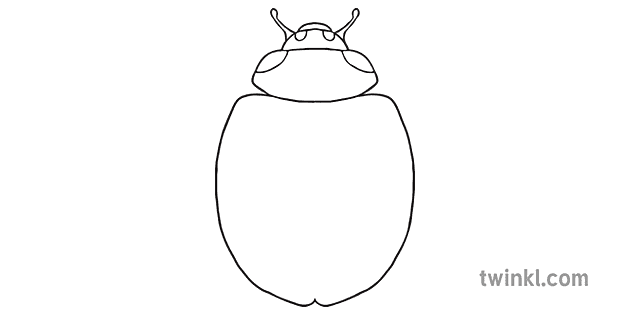 factor bug maths quick response ks2 black and white rgb