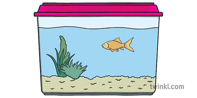 What is a habitat? | Life Science | Twinkl USA - Twinkl