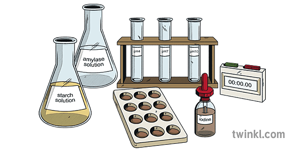 Fitsapana Sakafo Takiana Azo Ampiharina Starch Apparatus Science Experiment fitsapana-sakafo-takiana-azo-ampiharina-starch-apparatus-science-experiment