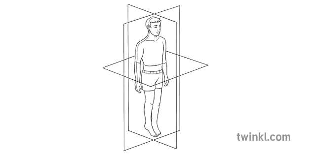 frontal ak sagittal planes of mouvement diagram blank unlabelled pe ...