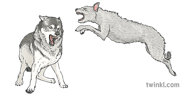 Beth yw Stori Gelert? Wedi'i ateb gan Twinkl - Twinkl