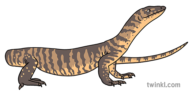 Goanna Kadal Illustration - Twinkl