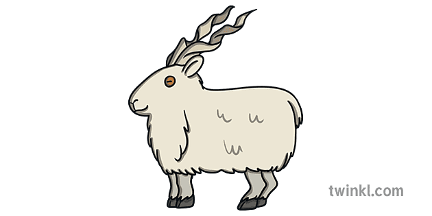 Goat Display Border Pattern Illustration - Twinkl