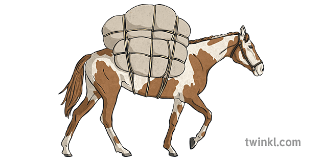 carico di trasporto di cavalli - Twinkl