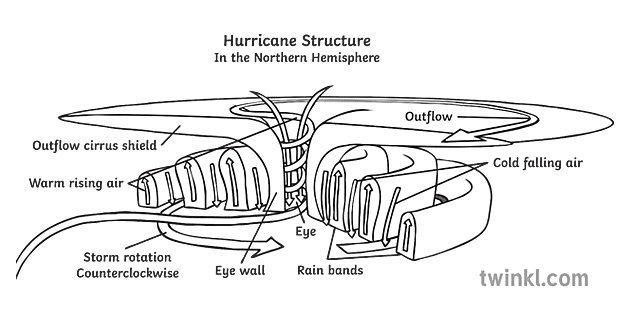 Hurricane Structure Geography Diagram Weather Secondary Bw RGB Illustration