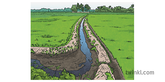 saluran irigasi Illustration - Twinkl