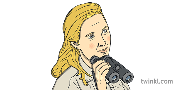 The Best of the Winter Wildlife in Wales - Twinkl