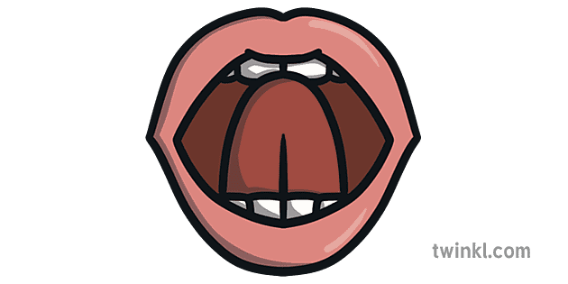 L Mouth Shape Illustration - Twinkl