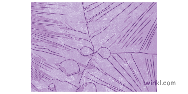 Experimentos Grandes Cristais Microscopio Ciencia Secundaria Illustration