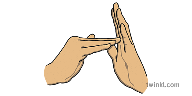 Letter Z British Sign Language Bsl - Twinkl