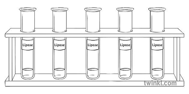 lipase test tube racks decay experiment science secondary bw rgb ...