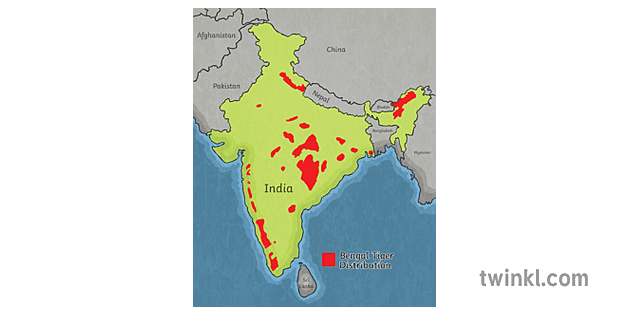 map of india with tiger distribution highlighted map year 6 hass geografie