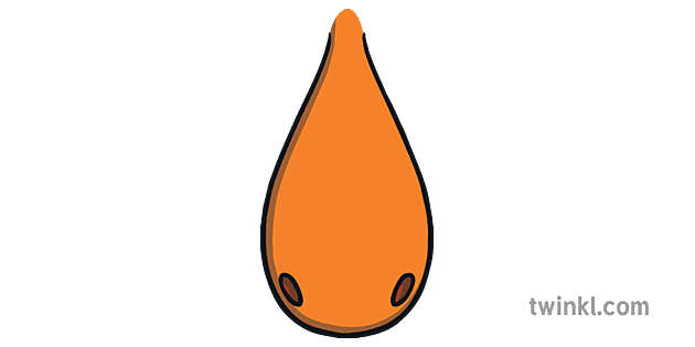 Monster Nose 3 Illustration - Twinkl