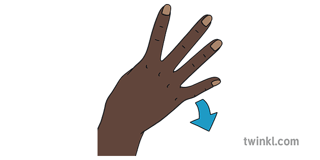 nzsl 14 new zealand sign language diagram ks1 - Twinkl