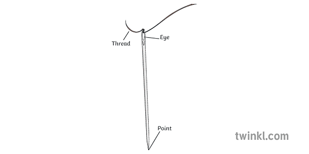 Needle Diagram Illustration - Twinkl
