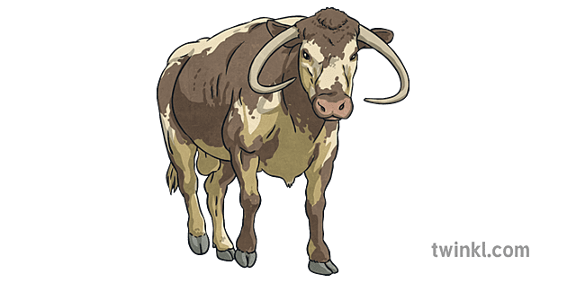 neolítico vaca ingles longhornthe ceide fields irish history neolithic ks2