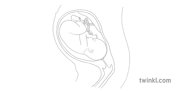 be teksto vaisius gimdoje y6 auganti koncepcija kudikis pshe pilietybe ks2