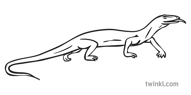 Perentie for Drawing Page Schwarz Weiß Illustration - Twinkl