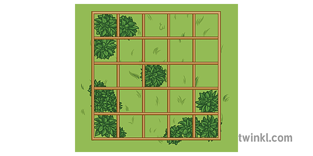 Quadrat Percentage Cover Question Science Ecology Experiment Secondary