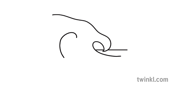 Sym Waves Bw Illustration Twinkl