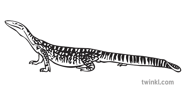 arena goanna pro ducta pagina nigra et alba Illustration - Twinkl