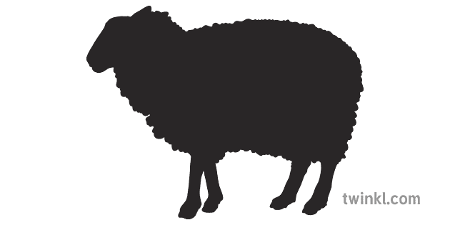 Schaf Schatten Tier Farm Silhouette Umriss Augen ks1 Schwarz Weiß RGB