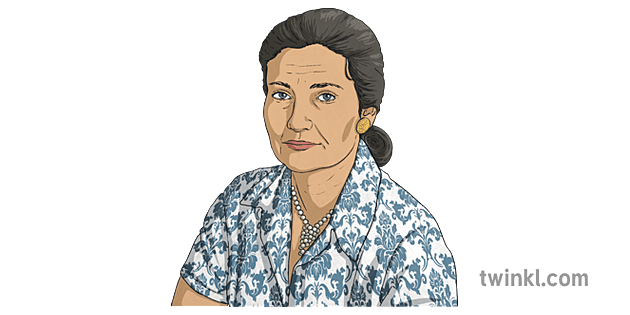 simone veil des individus significatifs jour des mères histoire francais