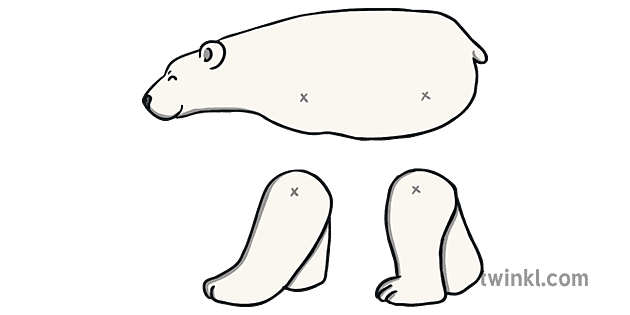 Split Pin Polar Bear Illustration - Twinkl