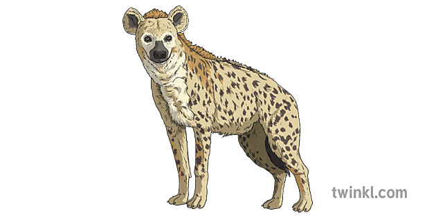 What Is A Folktale? | African Folktales | South Africa