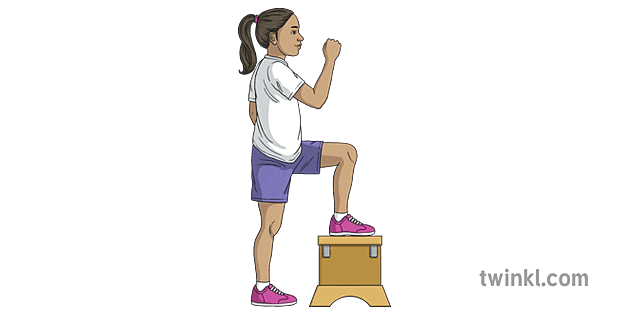 Step and Squat on Bench 1 Illustration - Twinkl