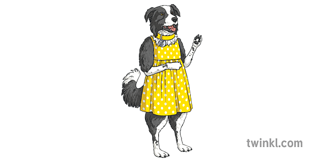 Summarising Sheba Full Body Dog Border Collie Reading Skills Classic ...