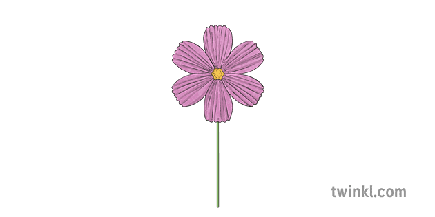 flor simétrica 1 Ilustración - Twinkl