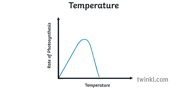 temperatura photosynthesis limiting factors graph science secondary