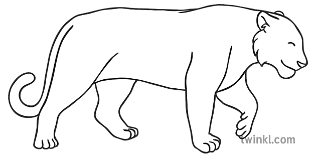 Tiger With No Stripes Playdough Mats Animal EYFS KS1 Black and White RGB