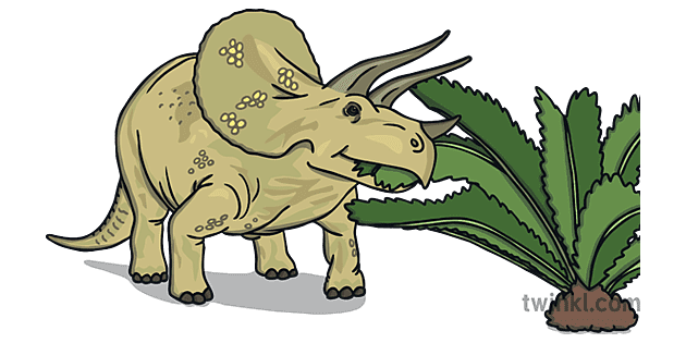 triceratops eating leaves cycads animal open eyes réptil dinosaurs food