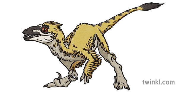 velociraptor Illustration - Twinkl