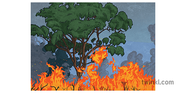 What is Extreme Weather? | Science | Twinkl USA - Twinkl