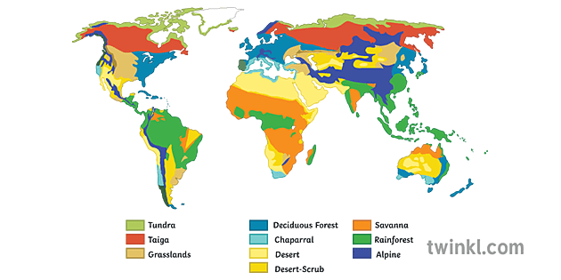World Biomes Map With Images Biomes Map Activities Map Hot Sex Picture