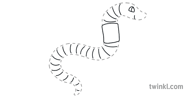 worm draw sepanjang garis putus putus Illustration - Twinkl