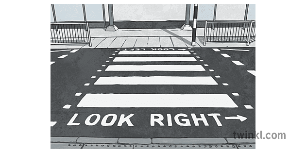 Zebra Crossing Illustration - Twinkl