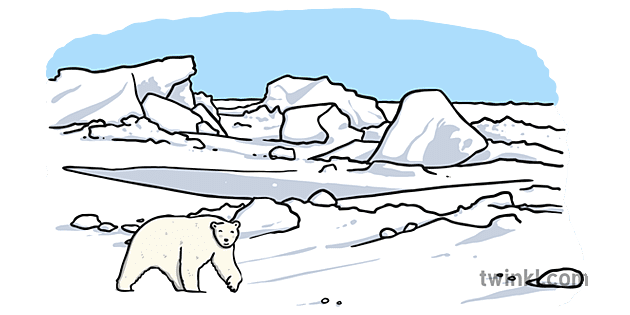Arctic Illustration - Twinkl
