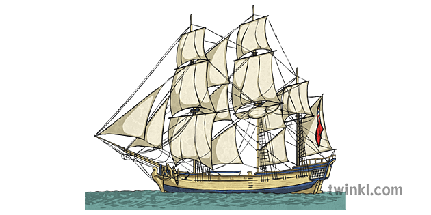 Who is Daniel Solander? - Twinkl