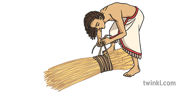 What is Agriculture? | Social Studies | Twinkl USA - Twinkl