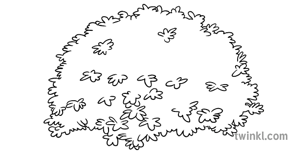 Bush Black and White 1 Illustration