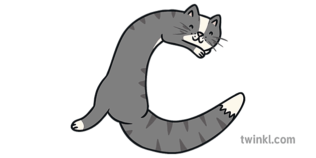 c cat small cursive alphabet ks1 Illustration - Twinkl
