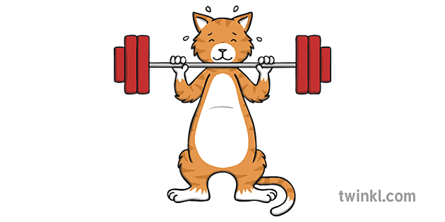 Cat Lifting Weights