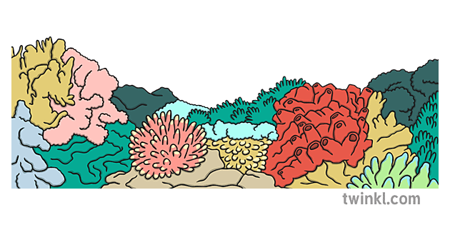 Pacific Ocean Facts | Teaching Wiki for Kids | Twinkl USA