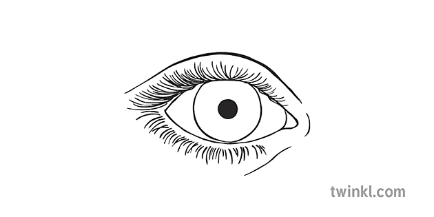 Dijagram Oka Pogled Sprijeda Bez Oznaka Crno Bijelo Illustration Twinkl Dijagram Oka Pogled Sprijeda Bez Oznaka Crno Bijelo Illustration Twinkl